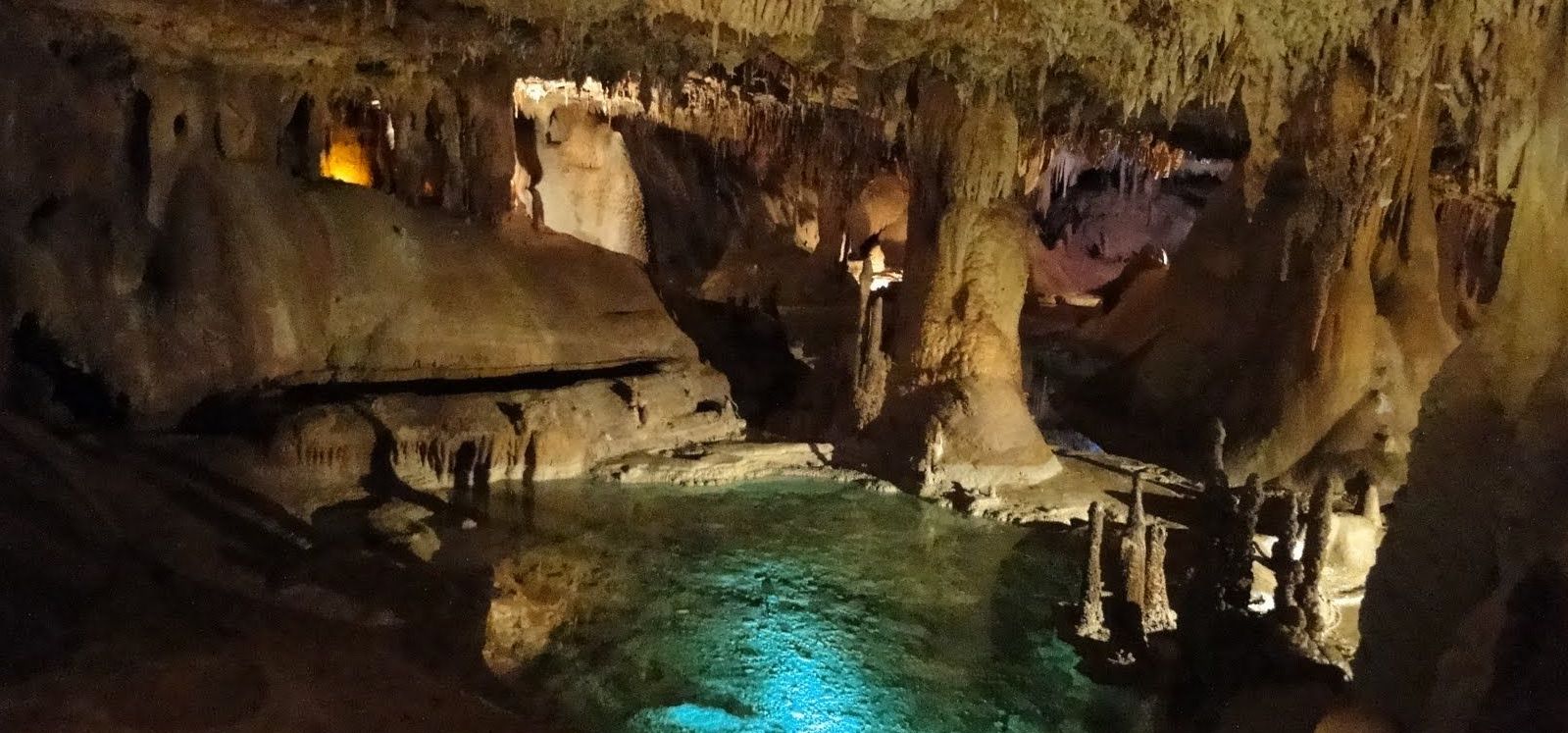 Austin, Texas Information • Citywide Apartment Locators